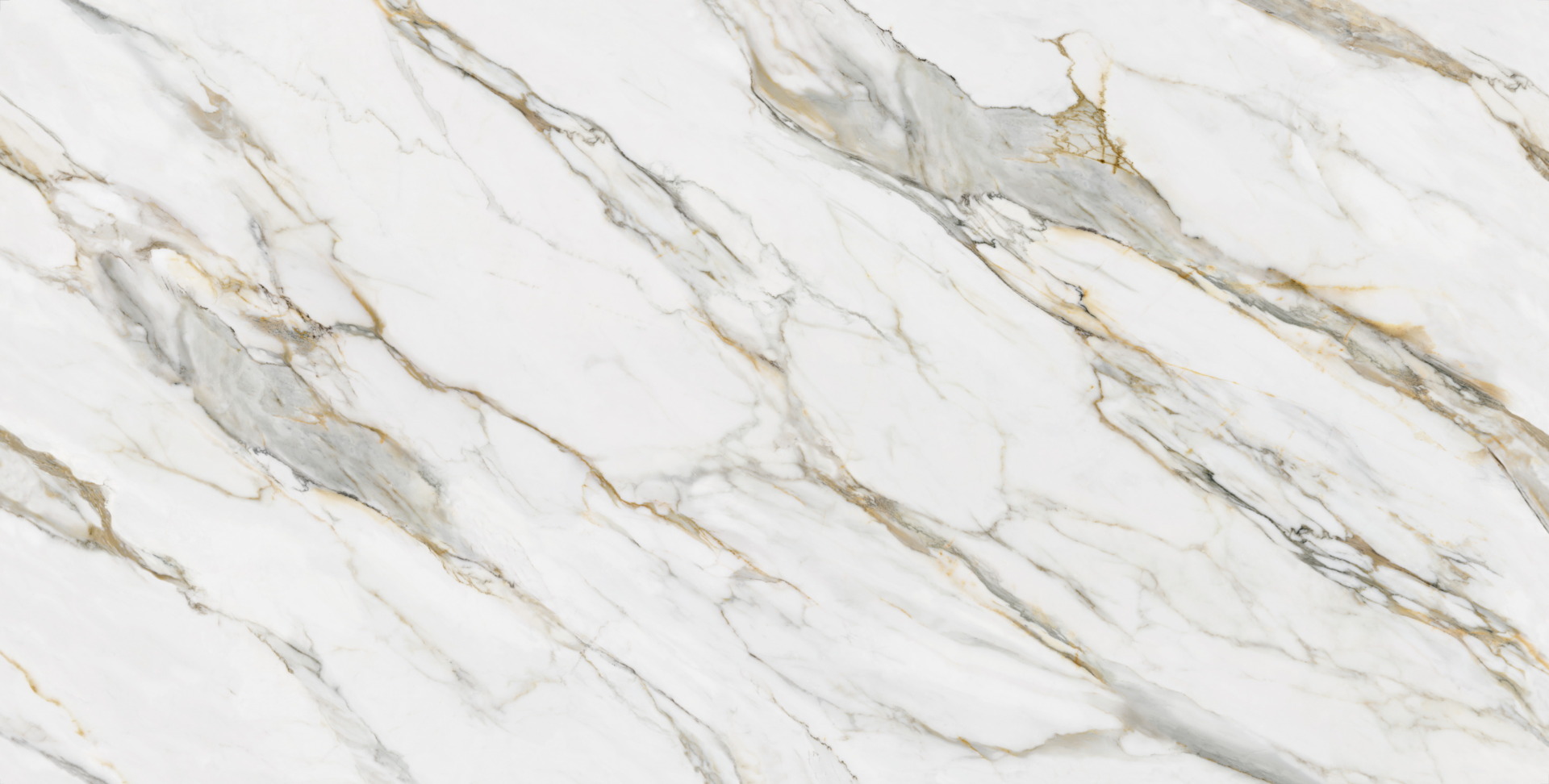 Borghini Gold | AC6009 - AC Stone Group